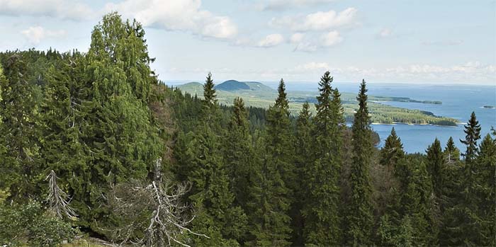 Myternas Karelen | nytid.fi